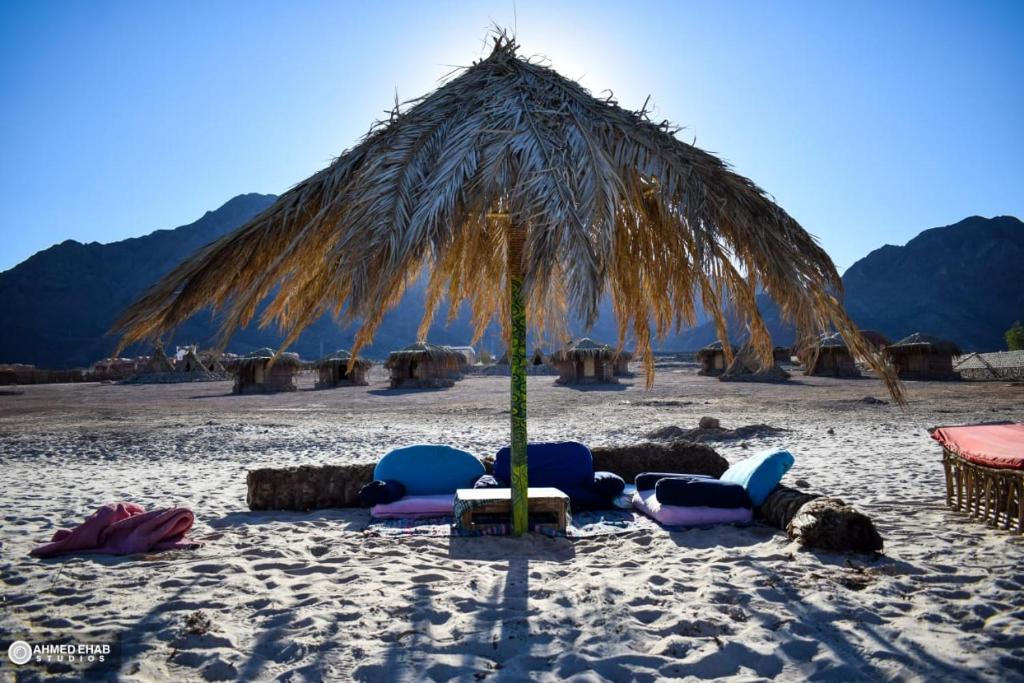 Crazy Horse Camp - Nuweiba Camps - نوبيع كامبس